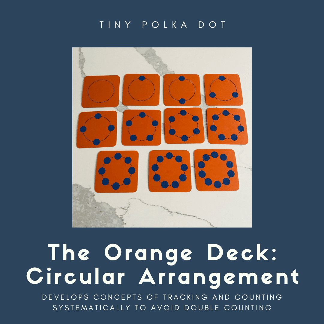 How Tiny Polka Dot Builds the Math Skills Kids Need